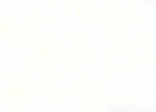 Nicker Poster Colour 40ml White