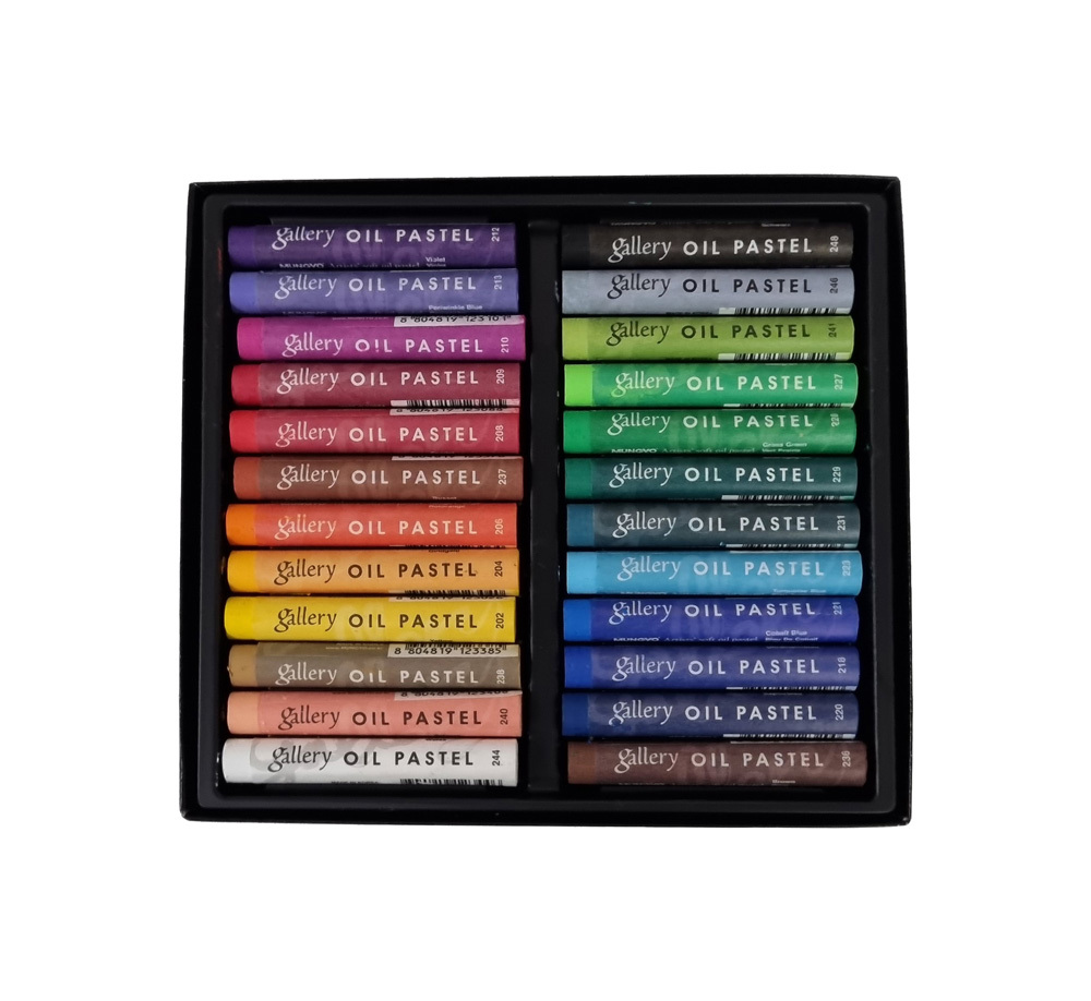 Mungyo Gallery Artists Soft Oil Pastel Set 24
