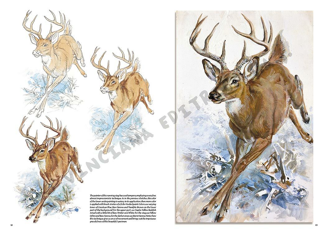 Leonardo Collection No: 13 Animals