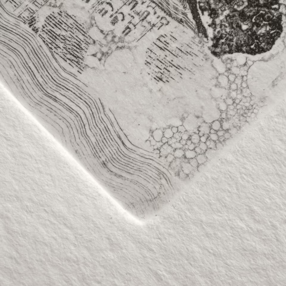 Fabriano Unica Paper White 250gsm 70x100cm